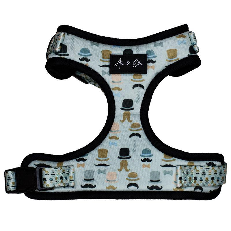 Huck Grand Dog Vest Harness · Ace and Ellie Pet Emporium